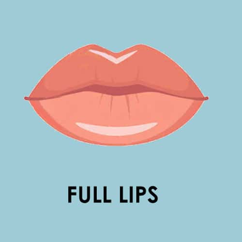 Full Lips Meaning | Lipstutorial.org